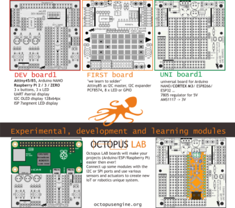 IoT Lab – octopus engine